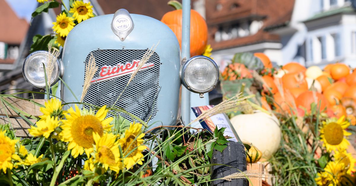 „Bsundrigs im Herbst“ | Dornbirn Tourismus & Stadtmarketing GmbH